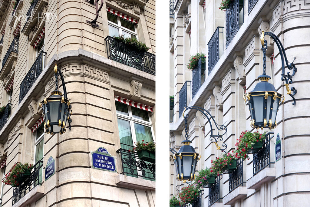 Paris – miss red fox